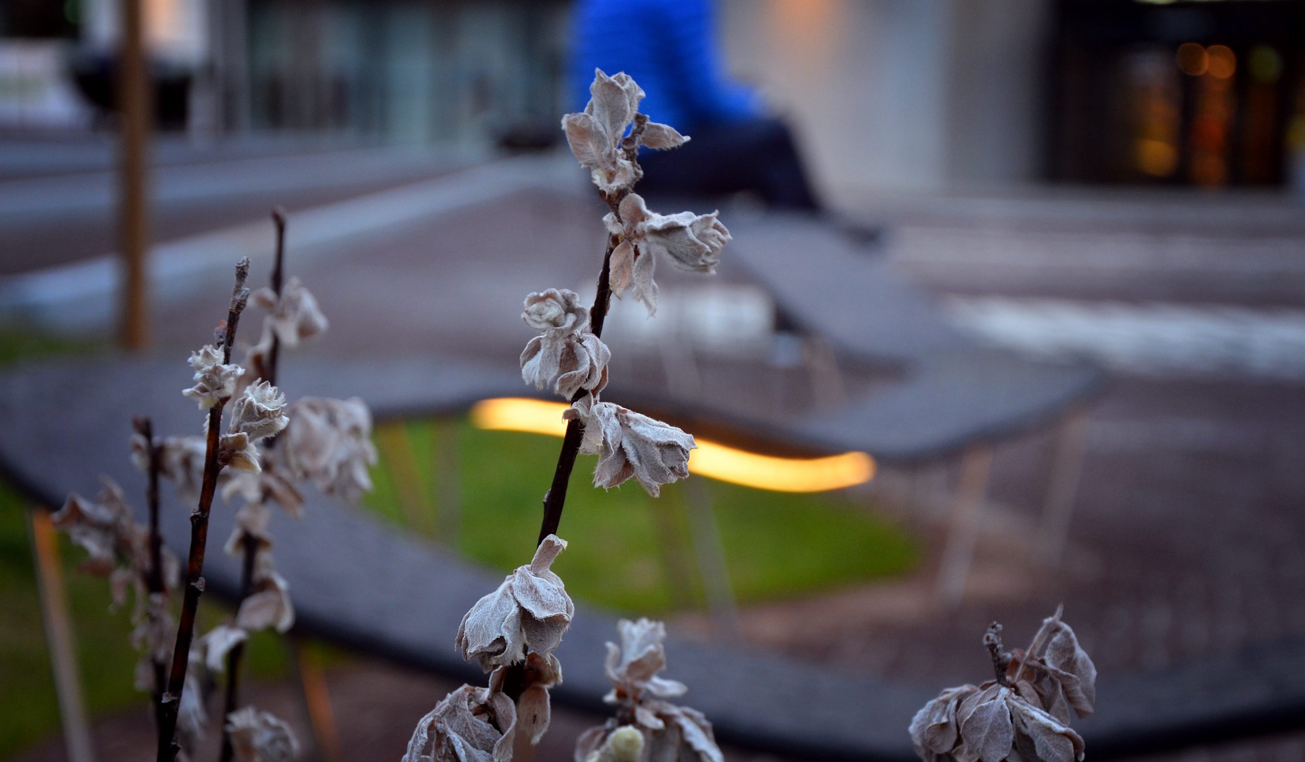 Social responsibility - A Norwegian developer of playgrounds and ...